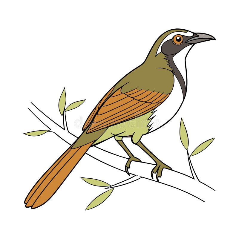 Stunning Buff-Throated Saltator Bird Representation Stock Photo ...
