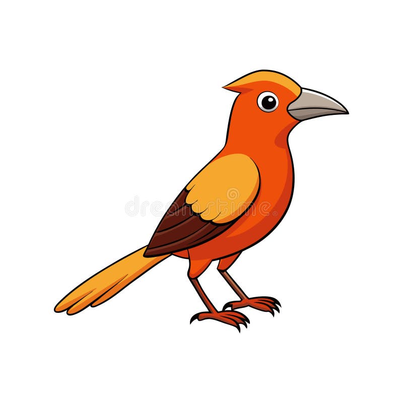 Stunning Bullock S Oriole Bird Artwork Stock Illustration ...