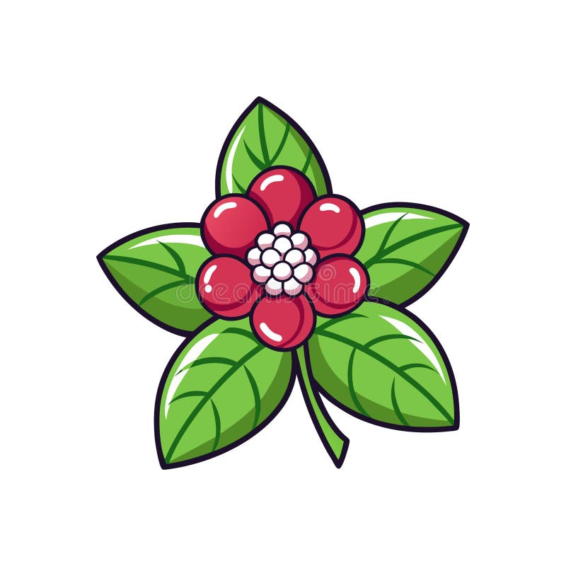 Stunning Bunchberry Flower Artwork for Botanical Illustrations Stock ...