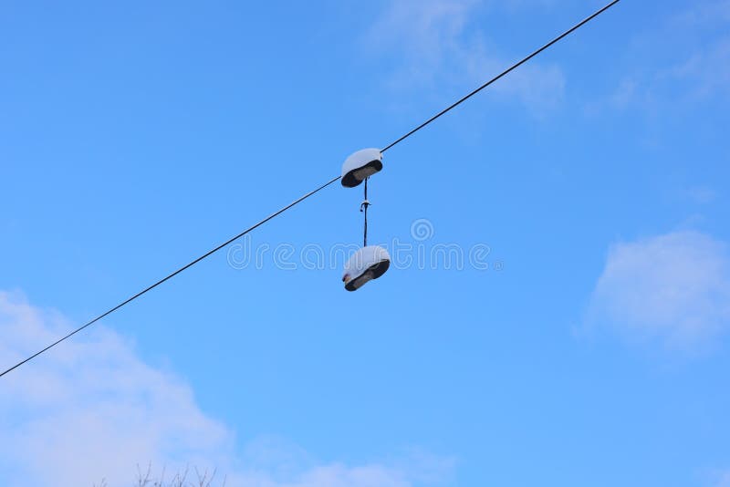 A Stunning Cable System Set Against a Clear Sky, Showcasing Modern ...