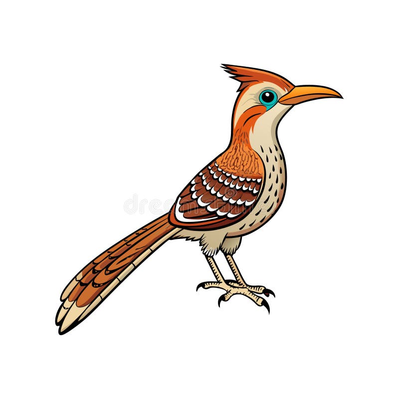 Stunning Cactus Wren Bird Illustration Stock Illustration ...