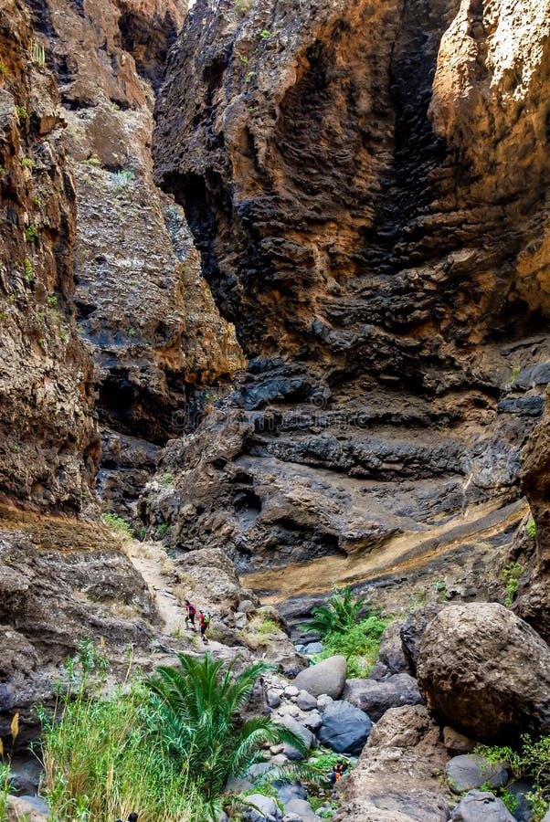 Stunning Canyon of Masca in Tenerife Stock Image - Image of canary ...