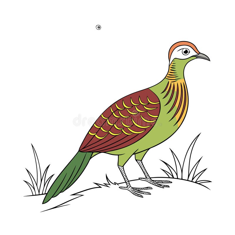 Stunning Choco Tinamou Bird Representation Stock Photo - Illustration ...