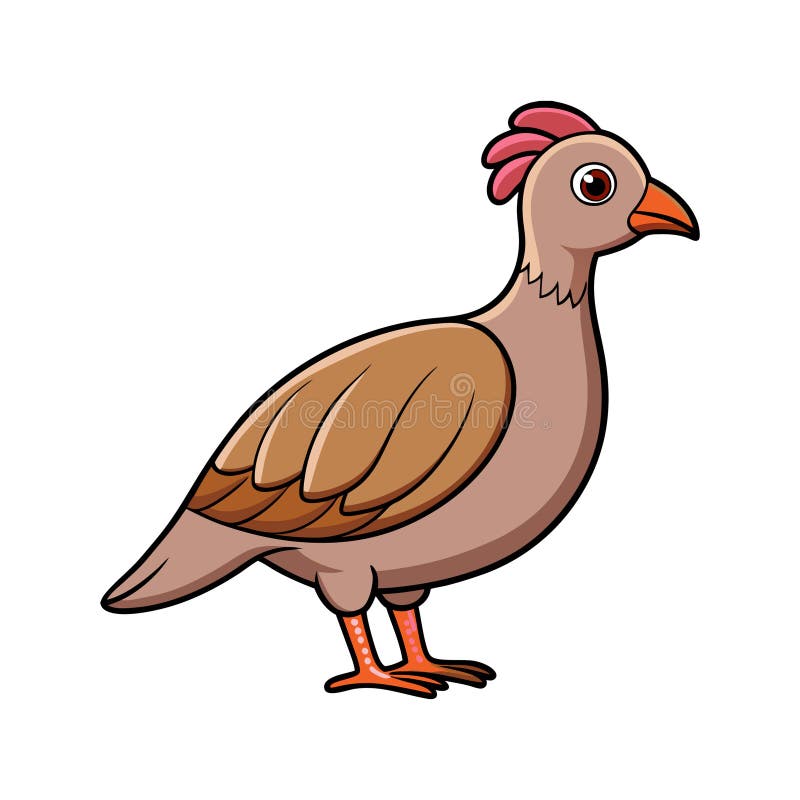 Stunning Chukar Bird Representation Stock Image - Illustration of ...