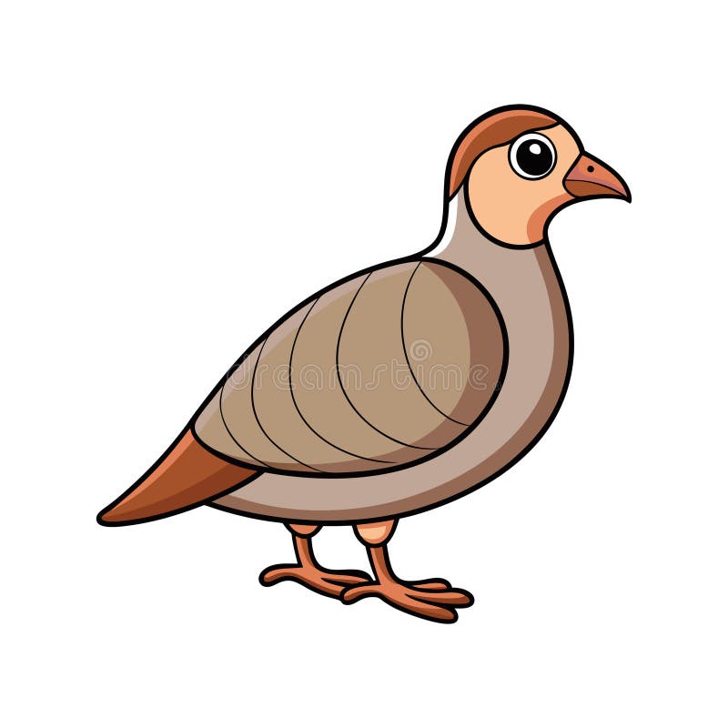 Stunning Chukar Partridge Bird Representation Stock Image ...