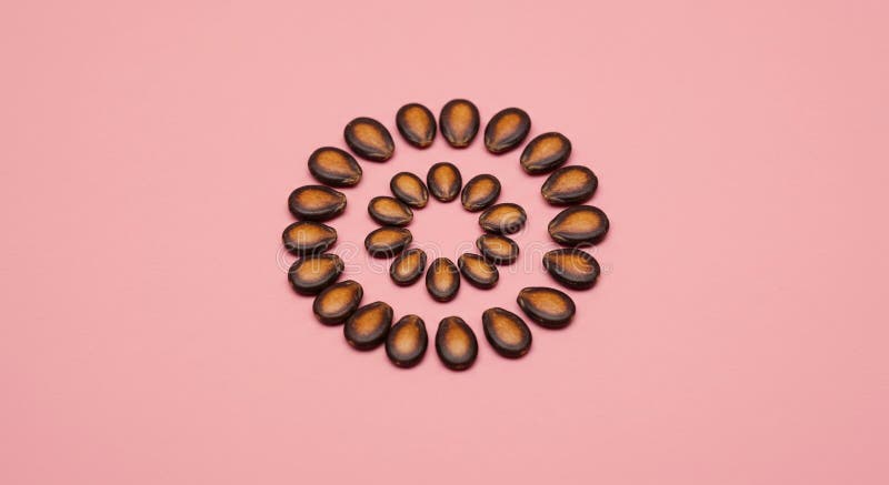 A Stunning Circular Arrangement of Watermelon Seeds on a Pink ...
