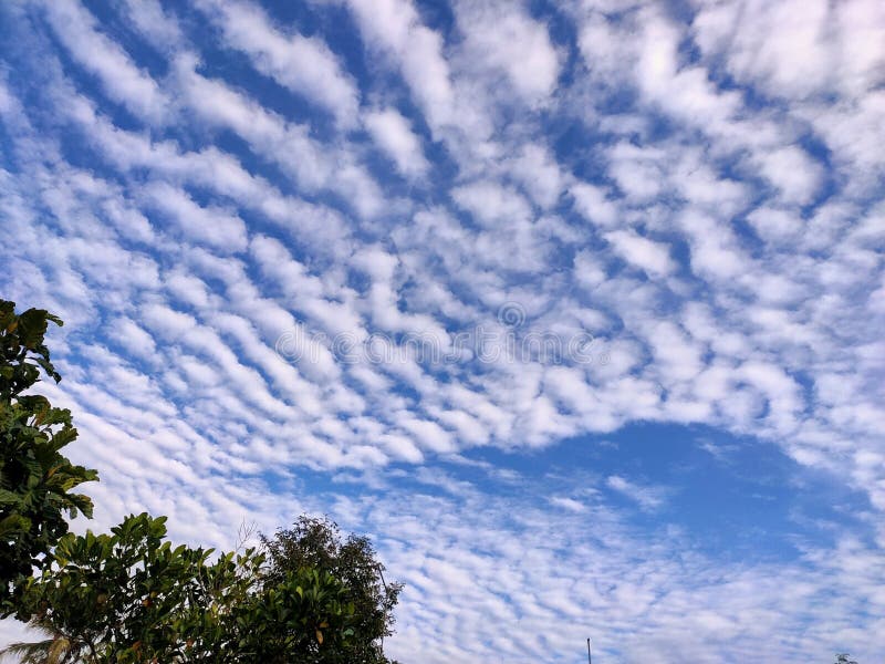 Stunning Cirrocumulus Cloud Pattern Stock Image - Image of phenomenon, grassland: 384208121