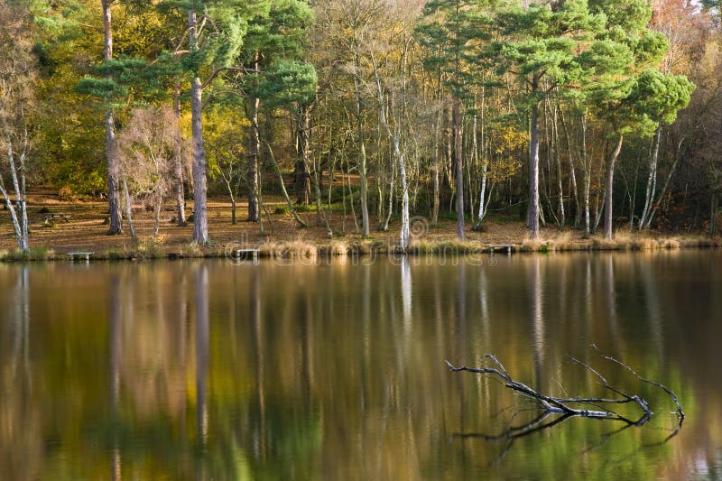 Stunning Colorful Autumn Fall Lake Scene Stock Photo - Image of outside ...