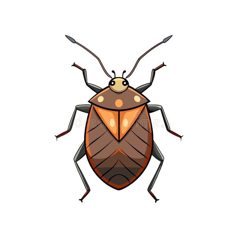 Stunning Colorful Brown Marmorated Stink Bug Artwork Stock Illustration ...