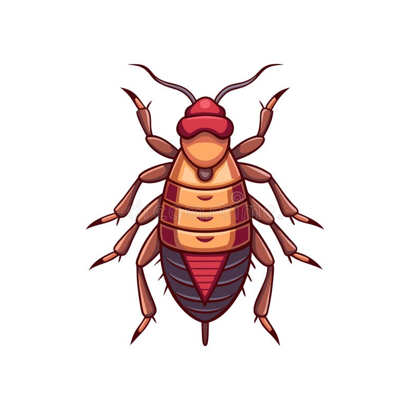 Stunning Colorful Head Louse Artwork Stock Illustration - Illustration ...