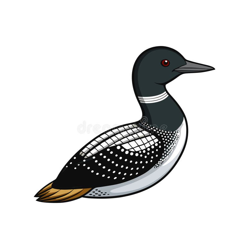 Stunning Common Loon Bird Realistic Artwork Stock Illustration ...