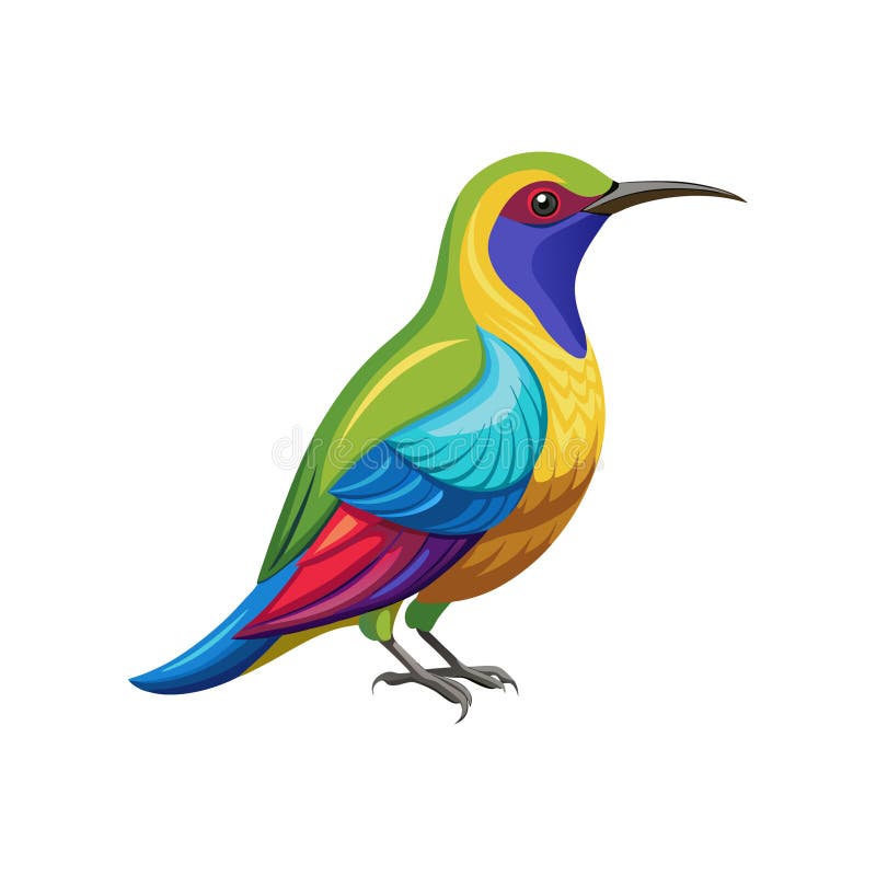 Stunning Common Sunbird Asity Nature Illustration Stock Illustration ...