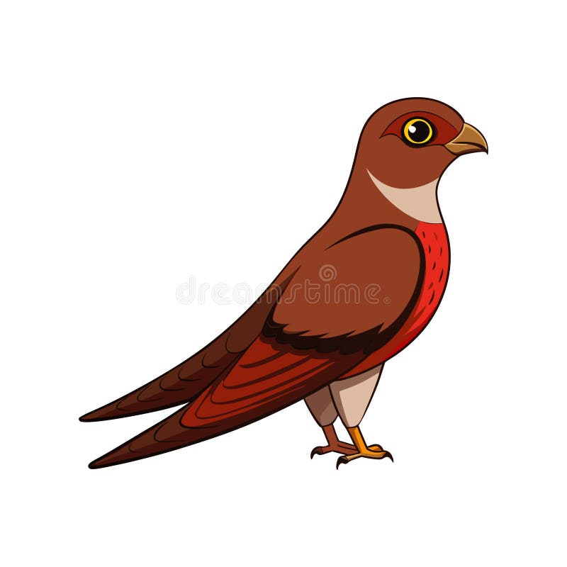 Stunning Common Swift Bird Artwork Capturing Nature Stock Illustration ...