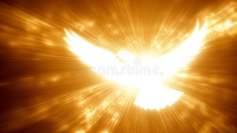 A Celestial Heavenly Holy Glowing White Dove (Peace, Miracle, Good Luck ...