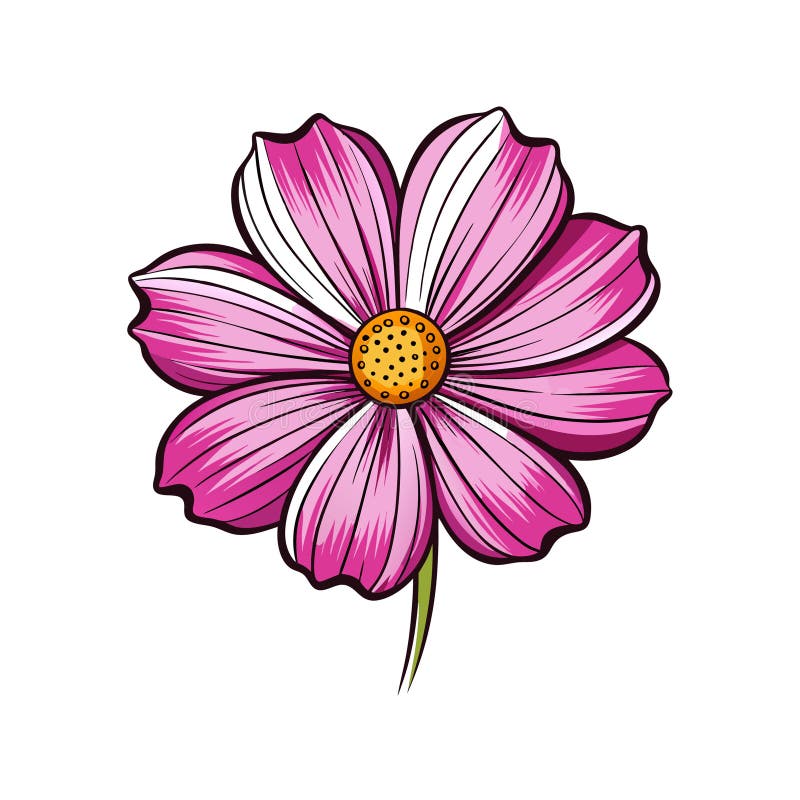 Stunning Cosmos Flower Graphic Stock Image - Image of creative, element ...