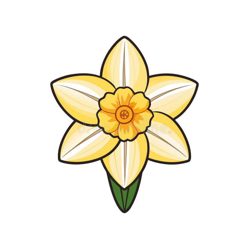 Stunning Daffodil Flower Artwork for Botanical Themes Stock Photo ...