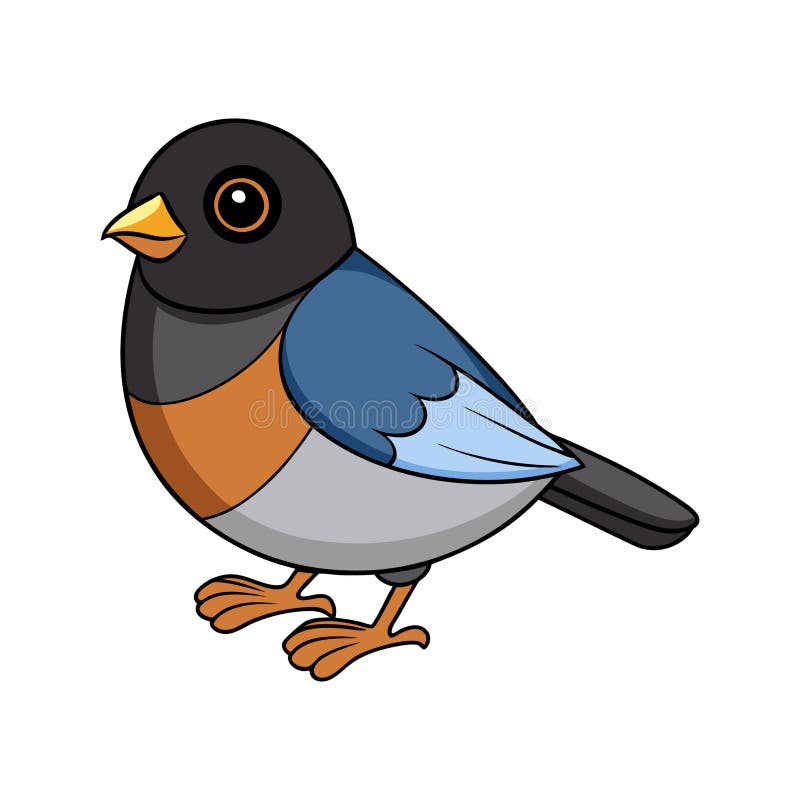 Stunning Dark-eyed Junco Bird Vector Stock Illustration - Illustration ...