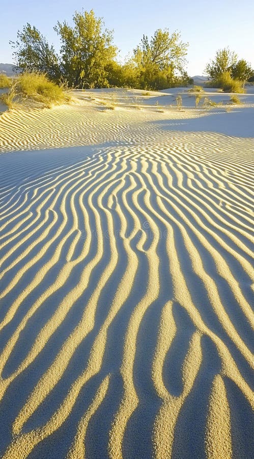 Stunning Desert Sand Dune Patterns at Sunrise High Quality Image Stock ...