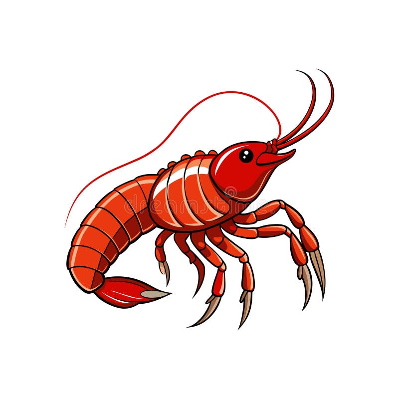 Stunning Alpheus Crustacean Detailed Artwork Stock Photo - Illustration ...
