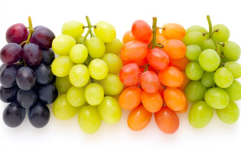 Different Grape Varieties Stock Illustrations – 275 Different Grape ...