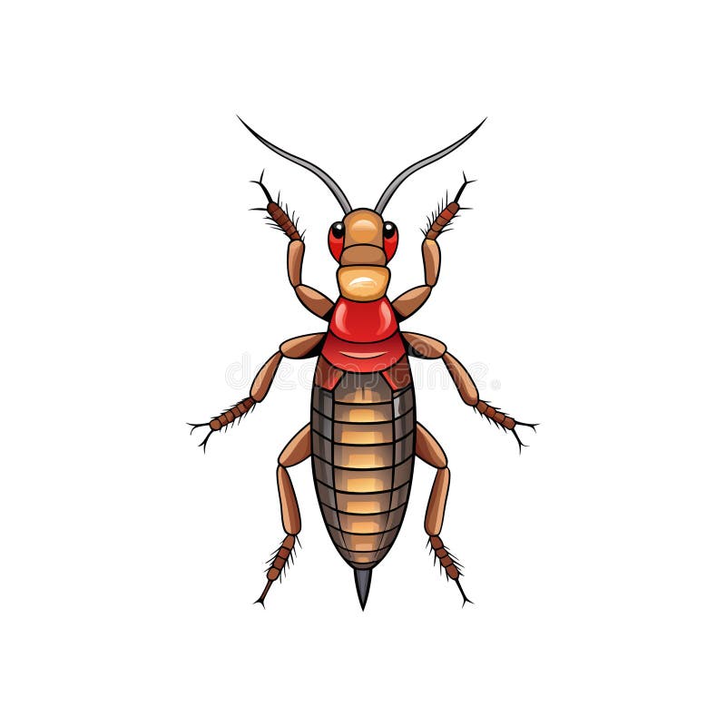 Stunning Earwig Artwork Capturing Its Natural Features Stock ...