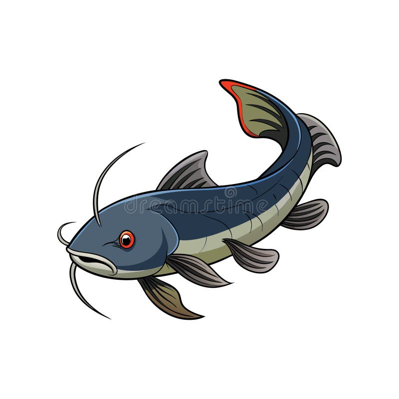 Stunning Electric Catfish Stock Illustrations – 4 Stunning Electric ...