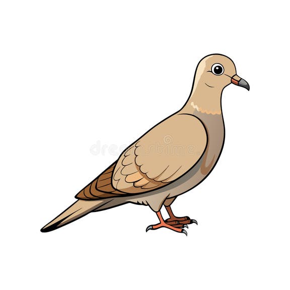 Stunning Eurasian Collared Dove Design Stock Illustration ...