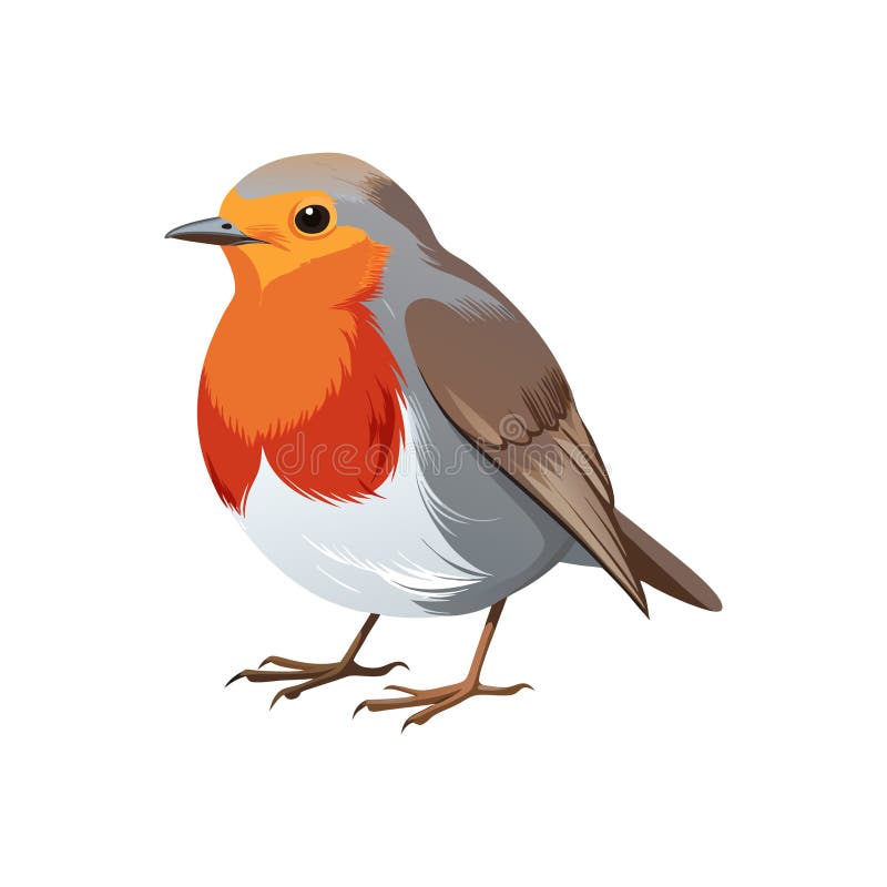 Stunning European Robin Nature Illustration Stock Illustration ...