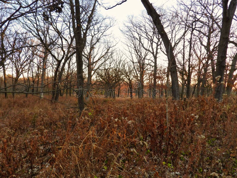 Stunning Fall Scene of Autumn Colored Trees Calm Tranquil October Scene ...
