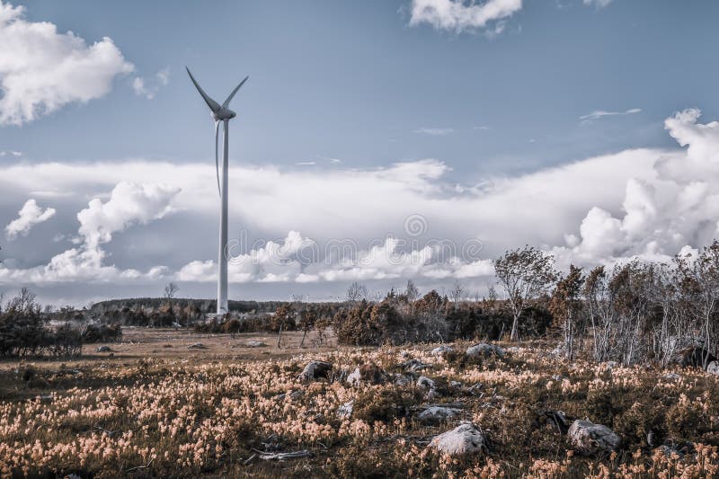 Stunning Field View with Wind Generator and Flowers Stock Image - Image ...