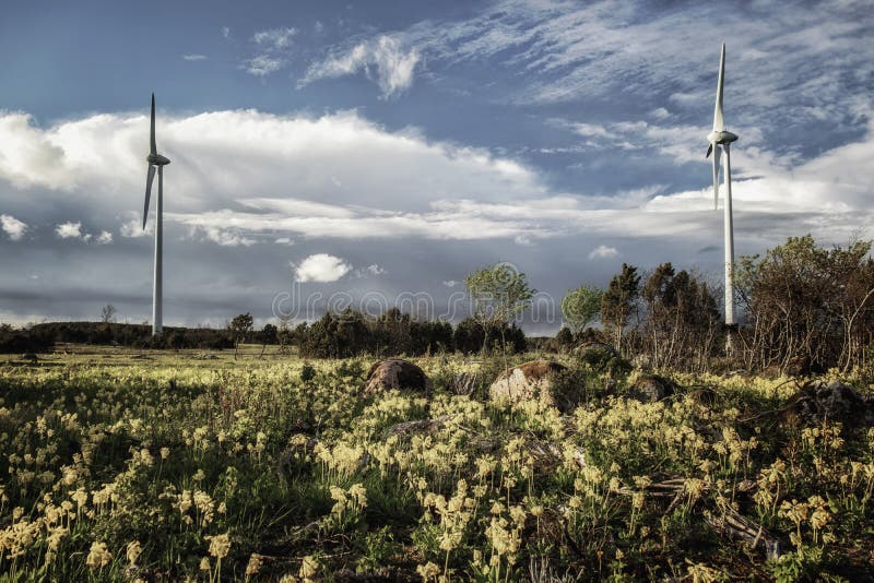 Stunning Field View with Wind Generator and Flowers Stock Photo - Image ...