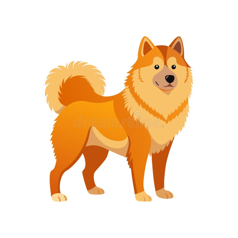 Stunning Finnish Spitz Illustration for Displays Stock Photo ...