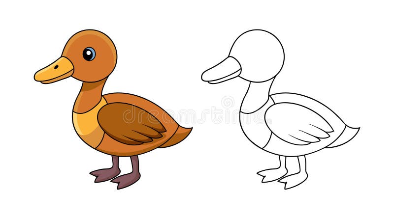 Stunning Fulvous Whistling Duck Nature Illustration Stock Illustration ...