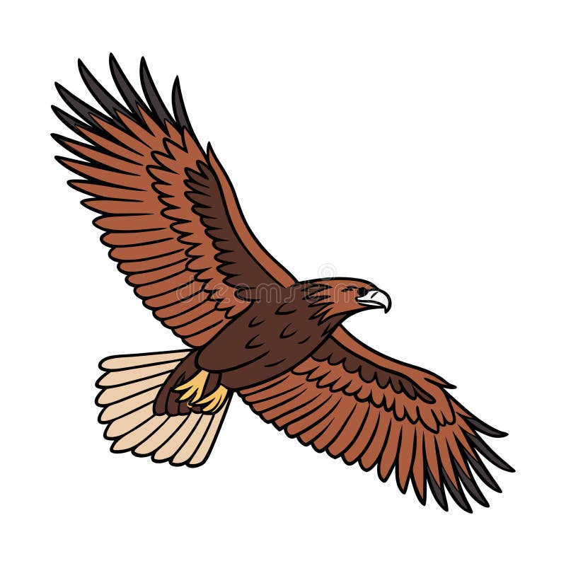 Stunning Golden Eagle Bird Design Stock Illustration - Illustration of ...