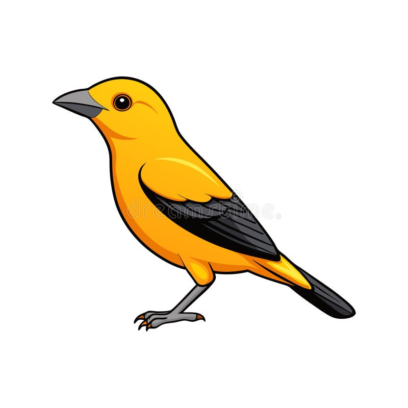 Stunning Golden Tanager Design Stock Illustration - Illustration of ...