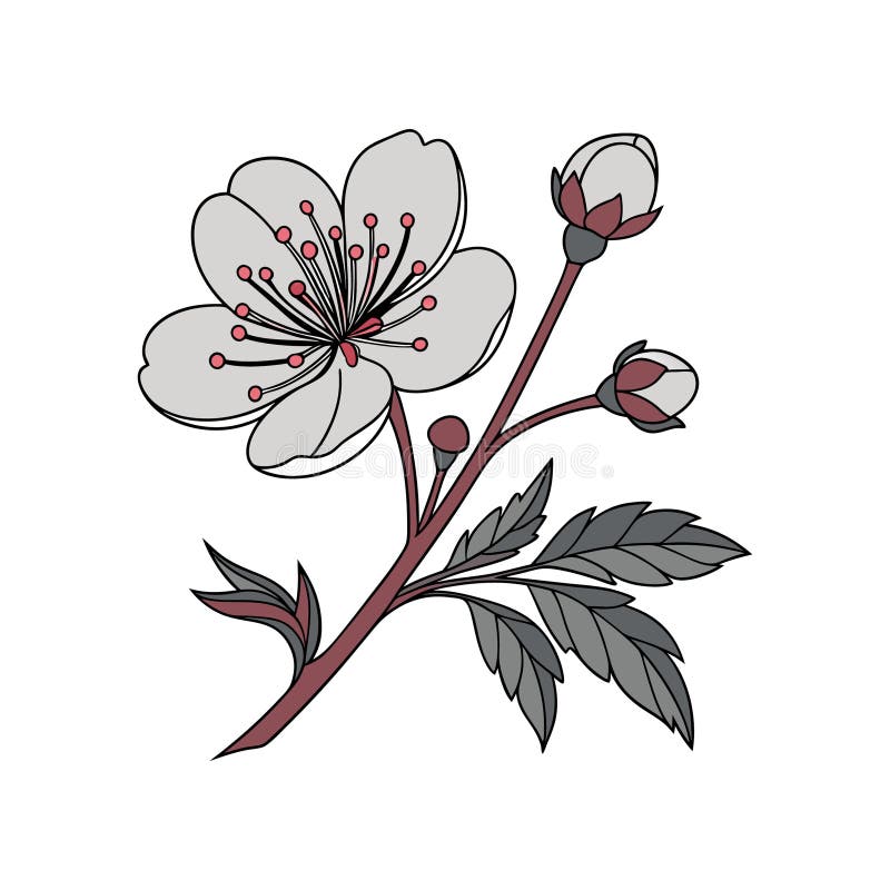 Stunning Gray Nicker Flower Artwork for Garden Lovers Stock ...