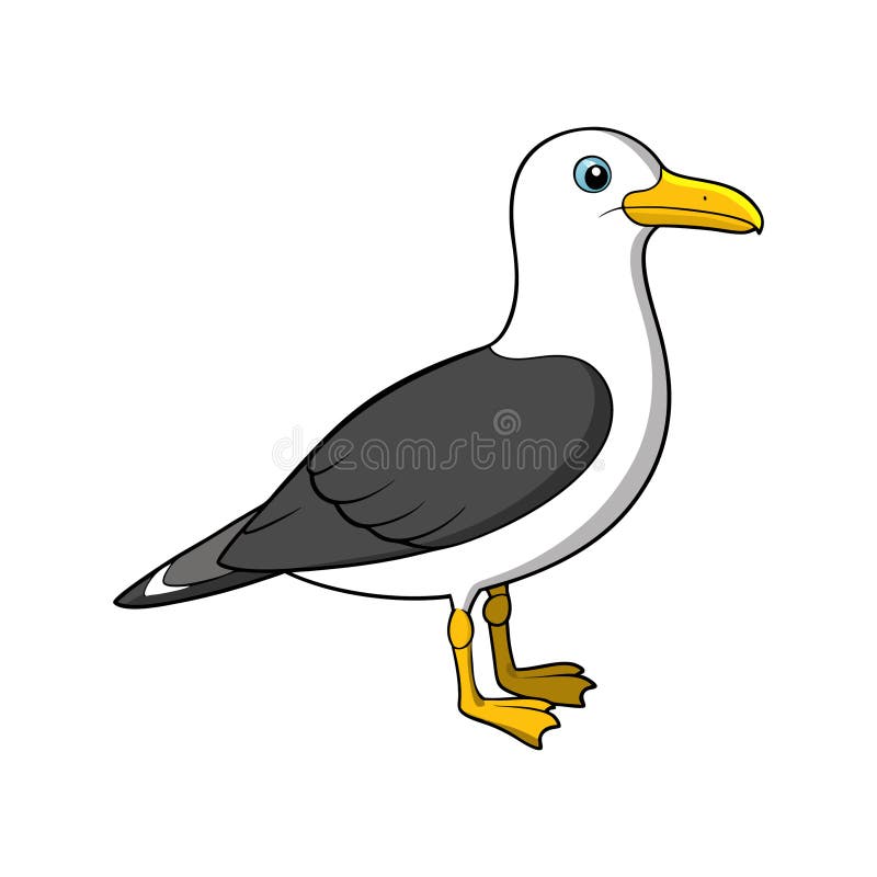 Stunning Great Black-backed Gull Bird Illustration Stock Illustration ...
