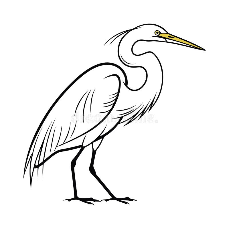 Stunning Great Egret Bird Design Stock Illustration - Illustration of ...