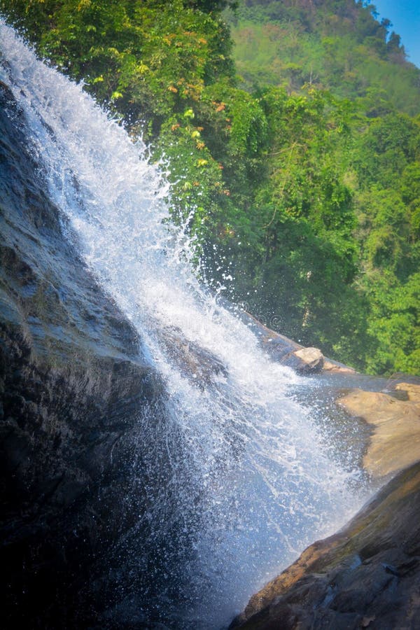 Rocky Cliffside with Lush Green Forest in Mountain Wilderness Stock ...