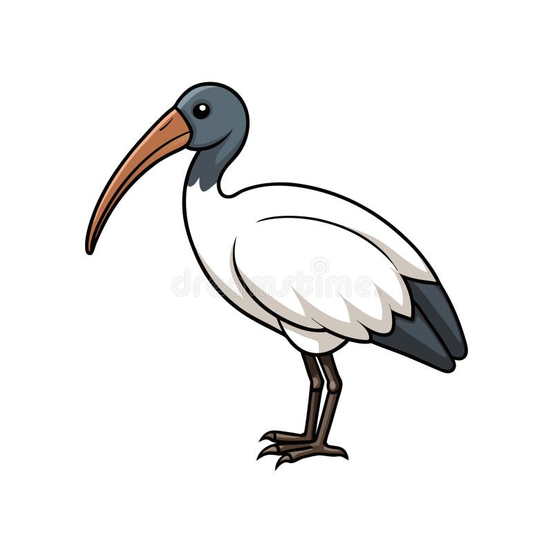 Stunning Sacred Ibis Bird Illustration Stock Illustration ...