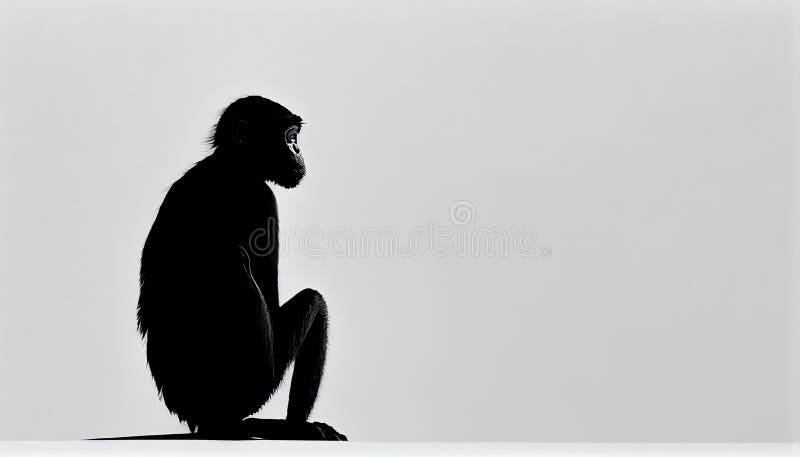 A Black Monkey S Gaze: the Primate Looks into the Distance, Deep in ...