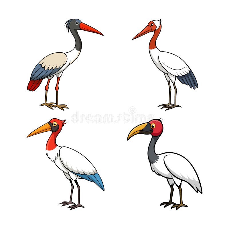Stunning Jabiru Bird Realistic Artwork Stock Vector - Illustration of ...