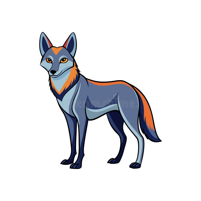 Stunning Jackal Illustration for Displays Stock Illustration ...
