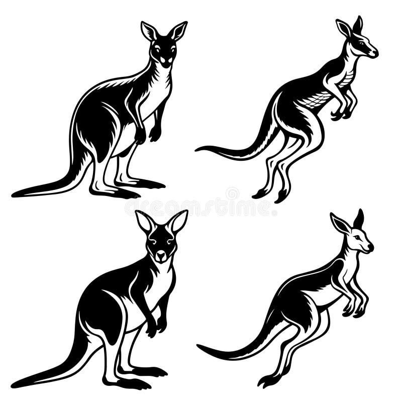 Stunning Kangaroo Silhouette Designs, Vector Isolate Stock Illustration ...