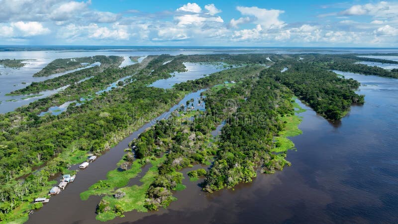 Stunning Landscape of Amazon Forest at Amazonas State Brazil. Stock ...