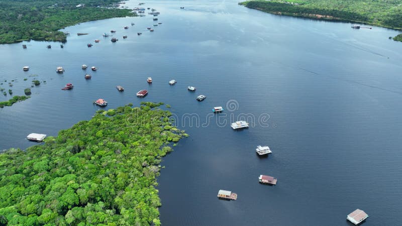 Stunning Landscape of Amazon Forest at Amazonas State Brazil. Stock ...