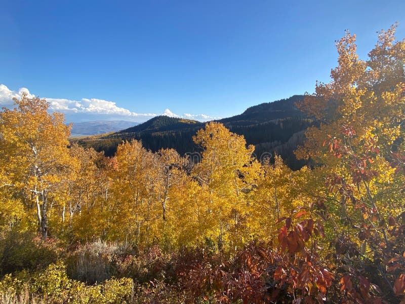 Stunning Landscape Featuring Mountains in the Fall Season with Golden ...