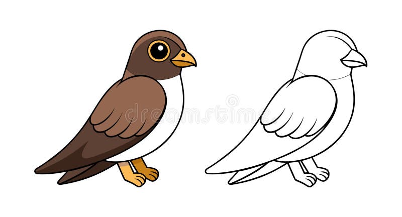 Stunning Lesser Nighthawk Bird Illustration Stock Illustration ...