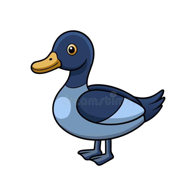 Stunning Lesser Scaup Bird Illustration Stock Image - Illustration of ...