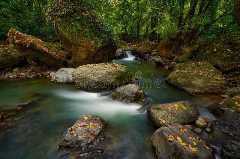 Stunning Long Exposure of a Rocky Stream Bed Surrounded by Lush Trees ...